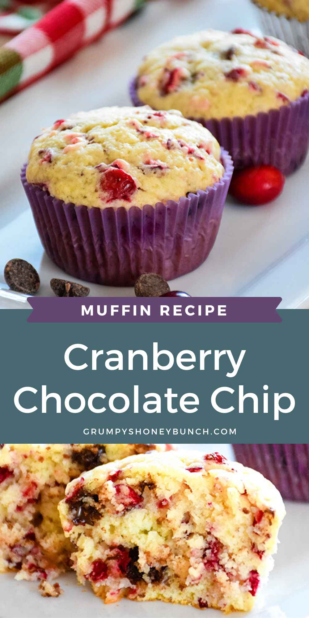 Cranberry Chocolate Chip Muffins - Grumpy's Honeybunch