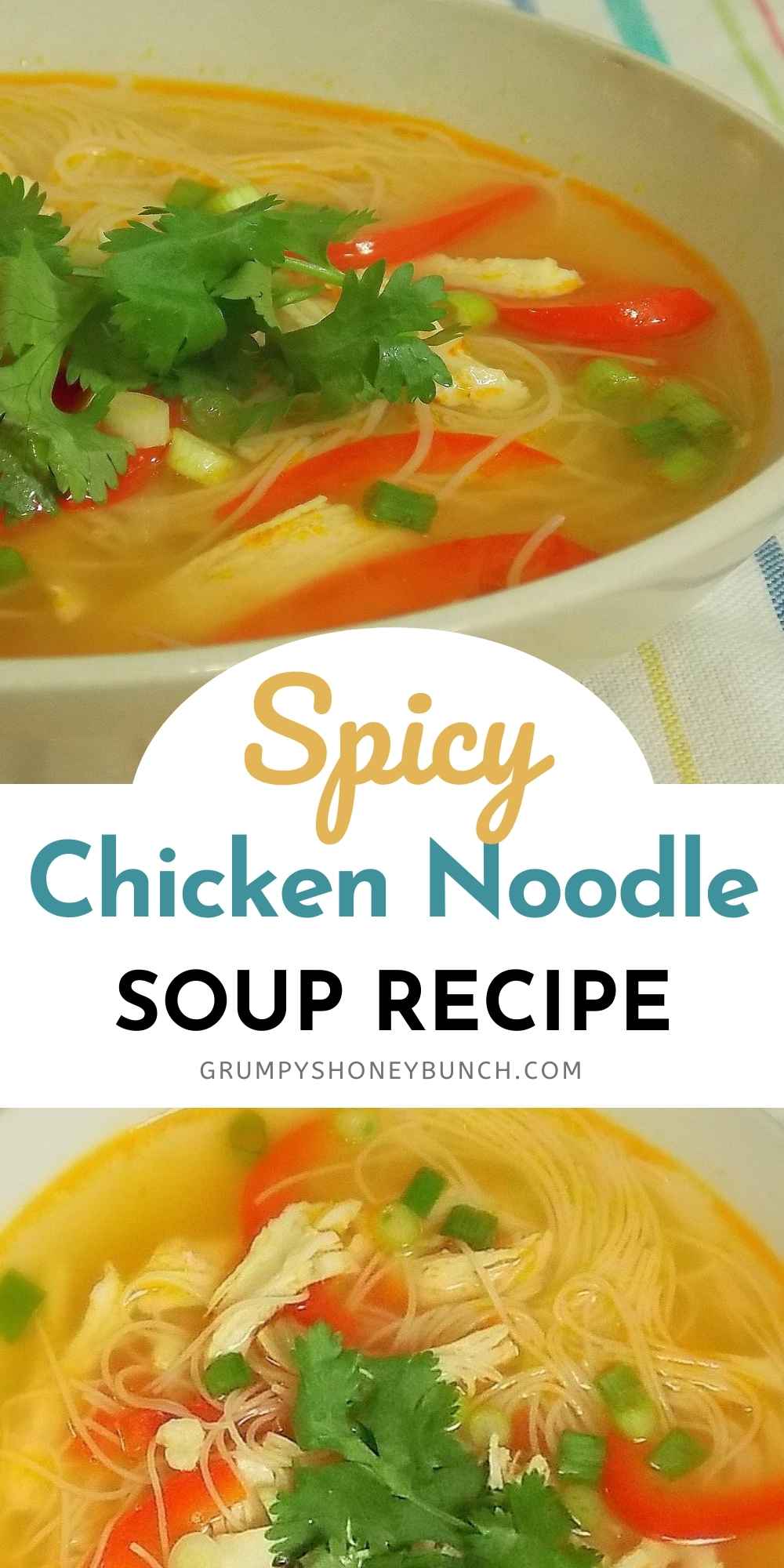 Asian Chicken Noodle Soup - Grumpy's Honeybunch