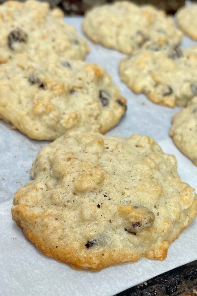 Soft Oatmeal Cookies - Grumpy's Honeybunch