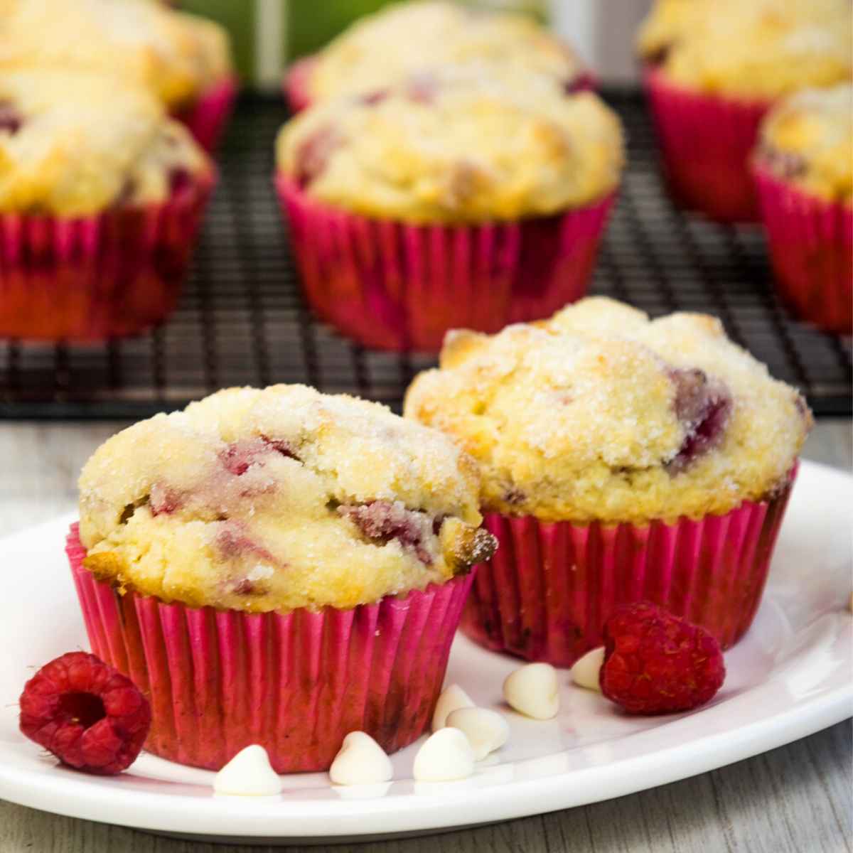 Rhubarb Walnut Muffins - Grumpy's Honeybunch