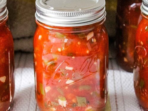 Homemade canned salsa recipe store